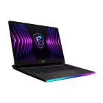 MSI - Portrait Displays