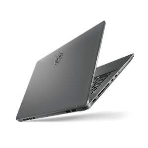 MSI - Portrait Displays