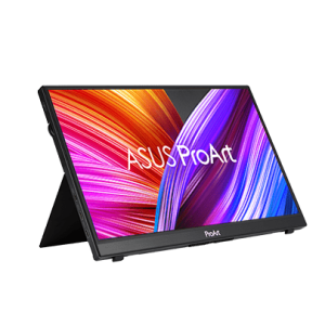 ASUS - Portrait Displays